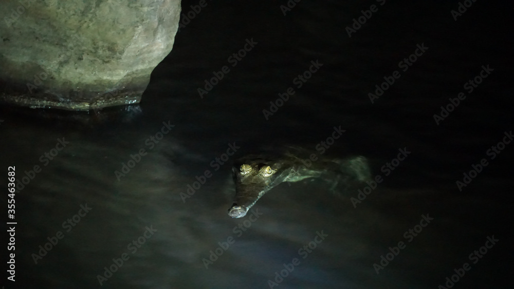 Dark Cave system with underground river in Tunnel Creek National Park ...