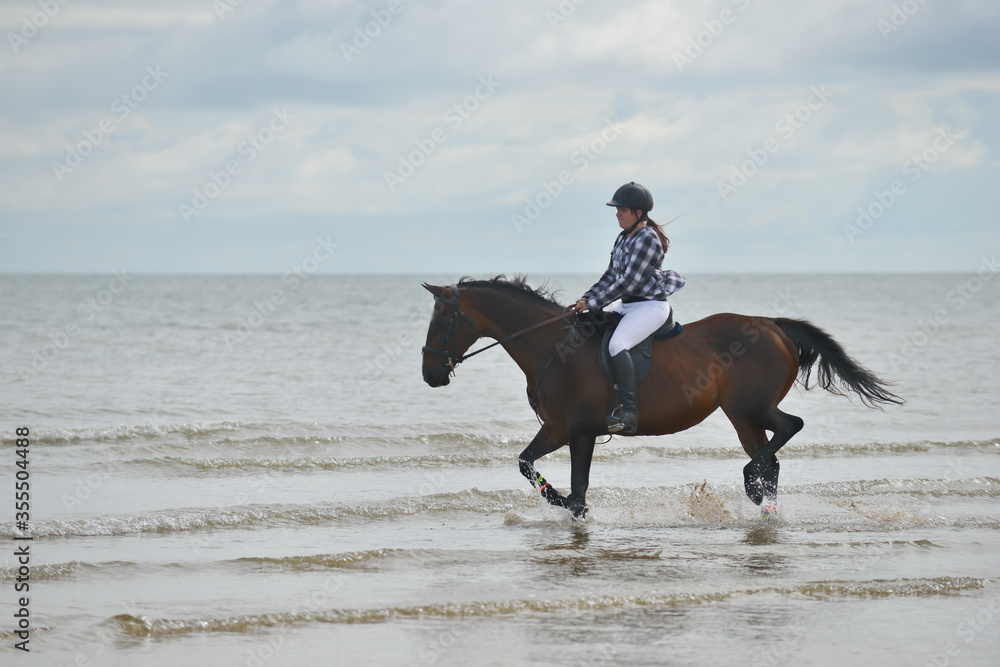 Every girls dream, riding a horse in the sea at the beach . A dream ...