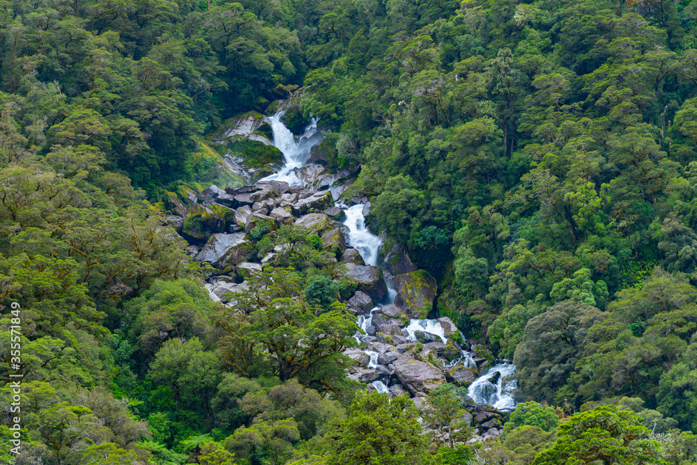 Roaring Billy falls in New Zealand Stock Photo | Adobe Stock