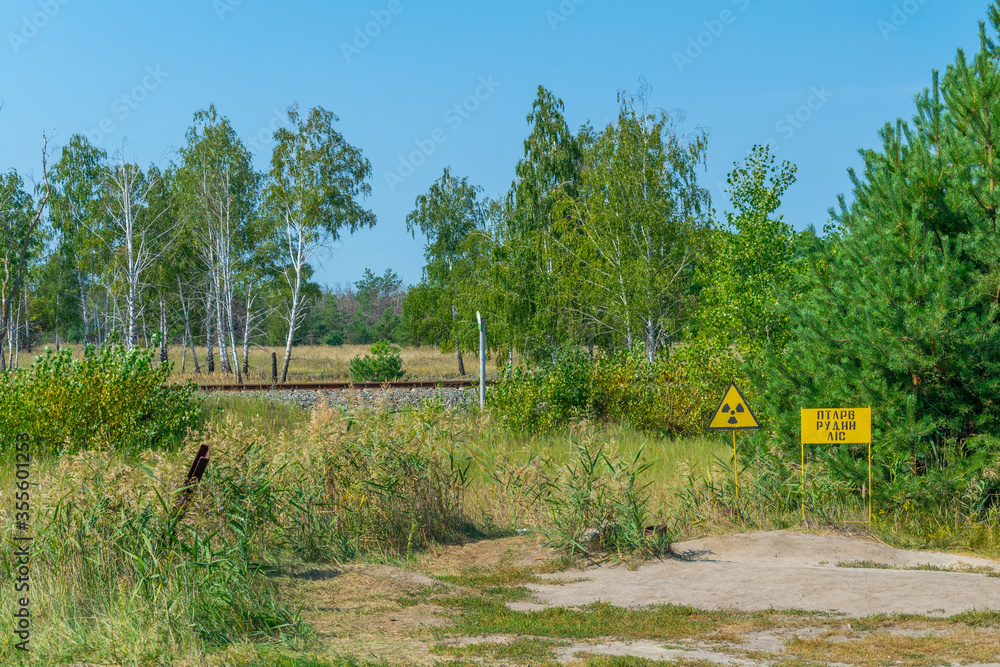 Yellow sign marking buried radioactive material in Chernobyl exclusion ...