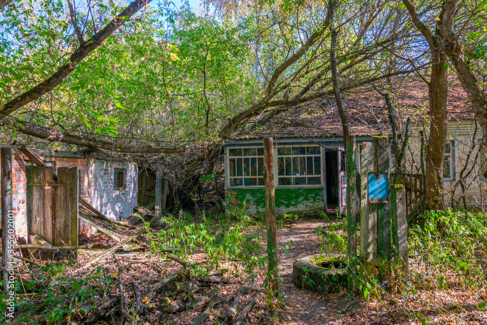 Nature takes over an abandoned village inside of the Chernobyl ...