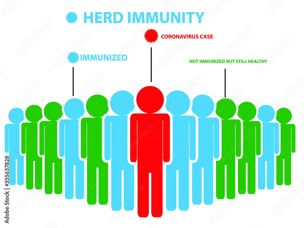 Herd immunity infographic. Vector illustration Stock Vector | Adobe Stock
