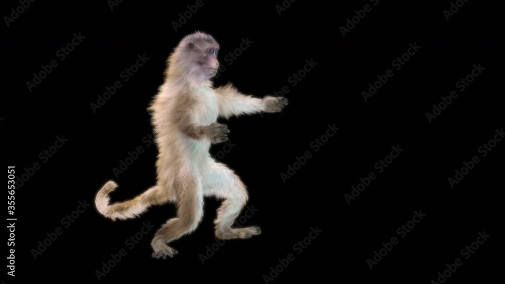 monkeys Dance CG fur 3d rendering animal realistic CGI VFX Animation ...