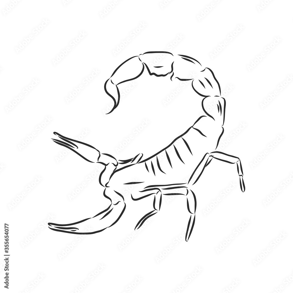 Hand drawn sketch of scorpion. Retro realistic animal isolated. Vintage ...