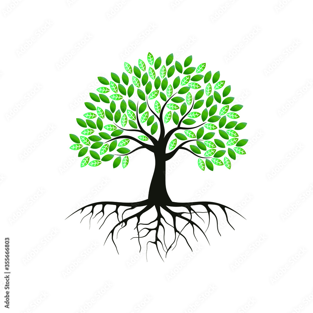 Mangrove Tree and roots icon vector illustration Stock Vector | Adobe Stock