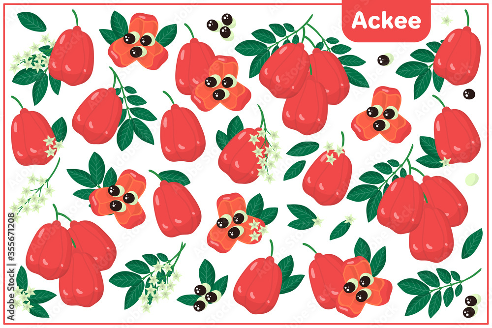 Set of vector cartoon illustrations with Ackee exotic fruits, flowers ...