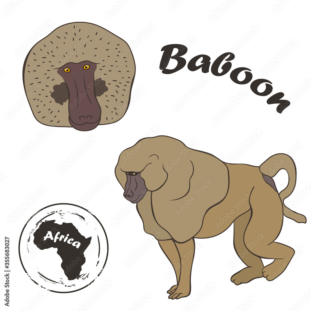 Baboon vector image isolated on white background. Yellow baboon in full ...