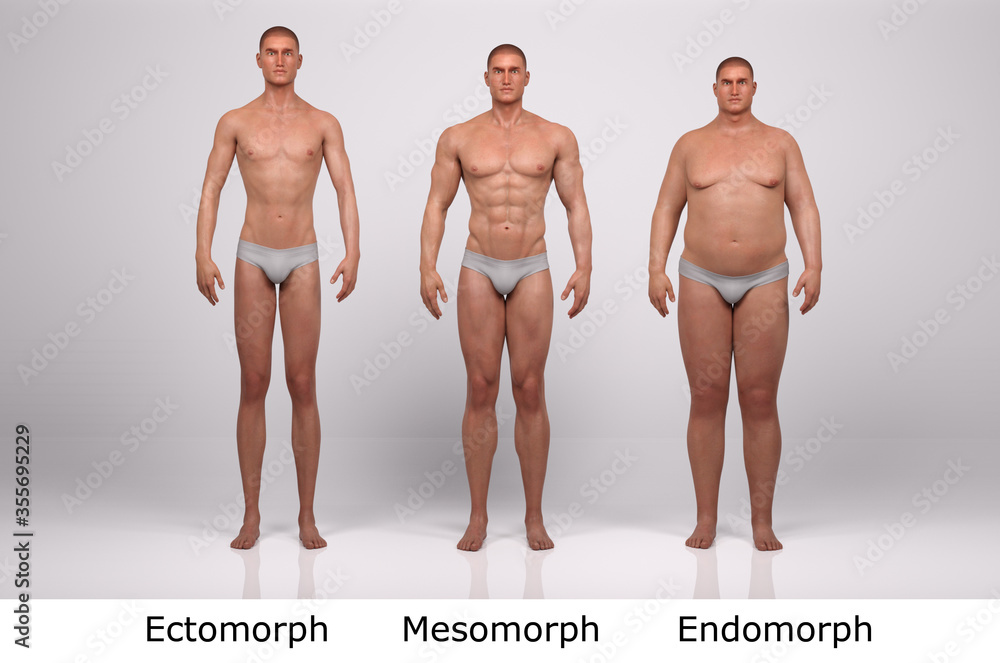 3d Render The Portrait Of Standing Male Body Type Ectomorph Skinny