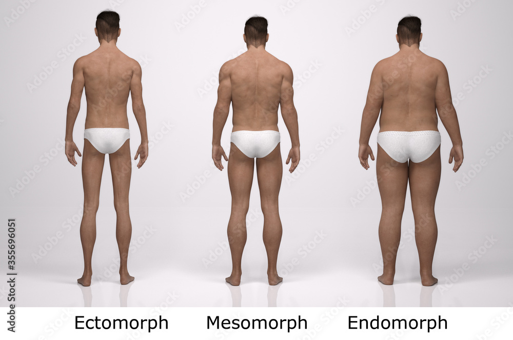 Ectomorph Men