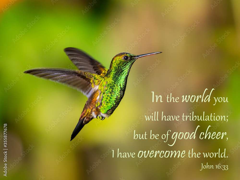 Inspirational, encouraging and uplifting Bible Verses printed on ...