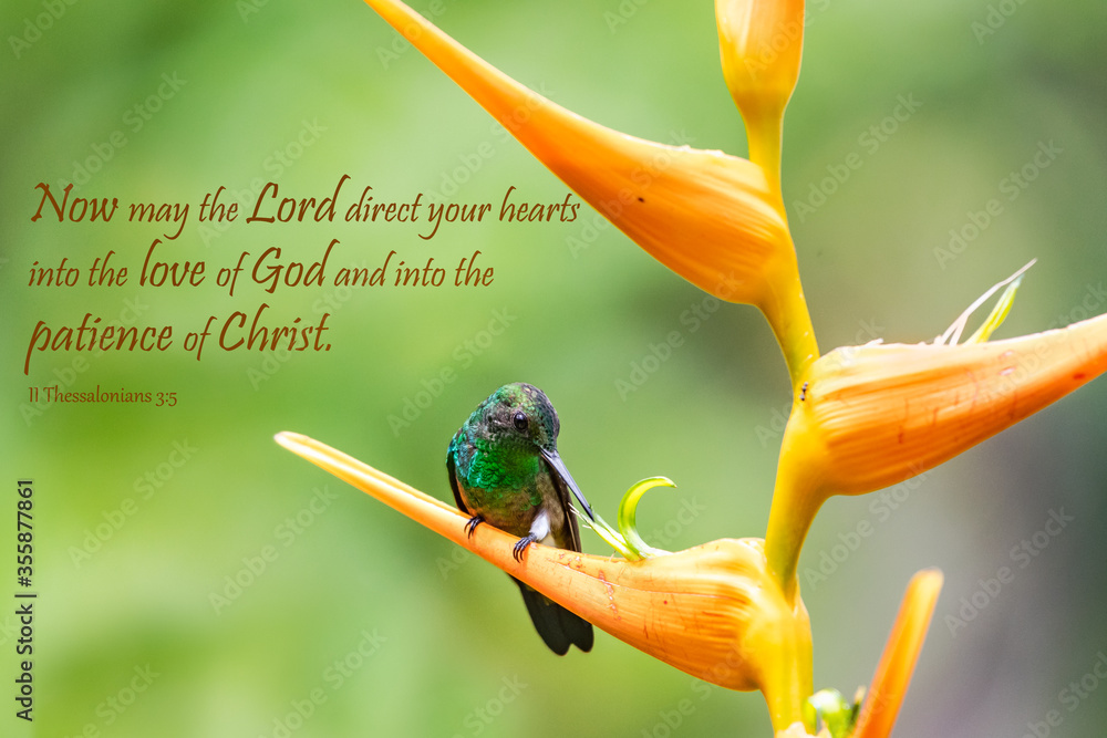 Bible Verse Photography