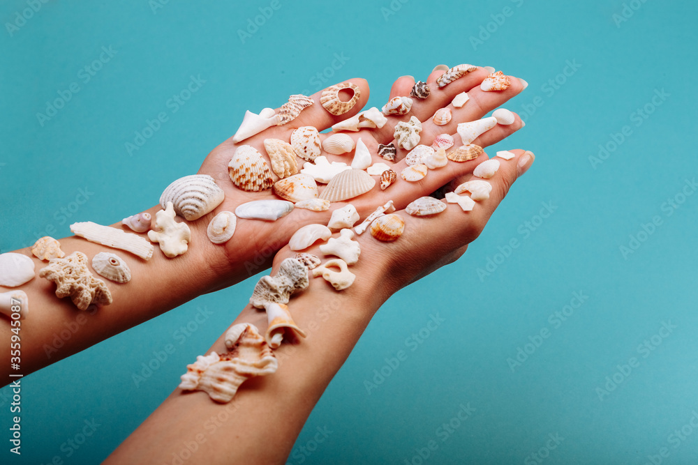 Macro of hand holding different kinds of seashells, corals in front of ...