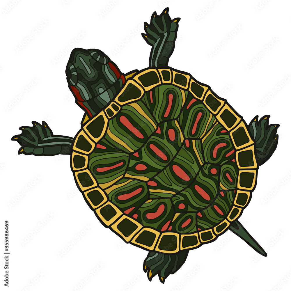 Pet Turtle Clipart