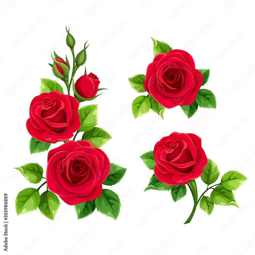 Vector set of red roses isolated on a white background. Stock Vector ...