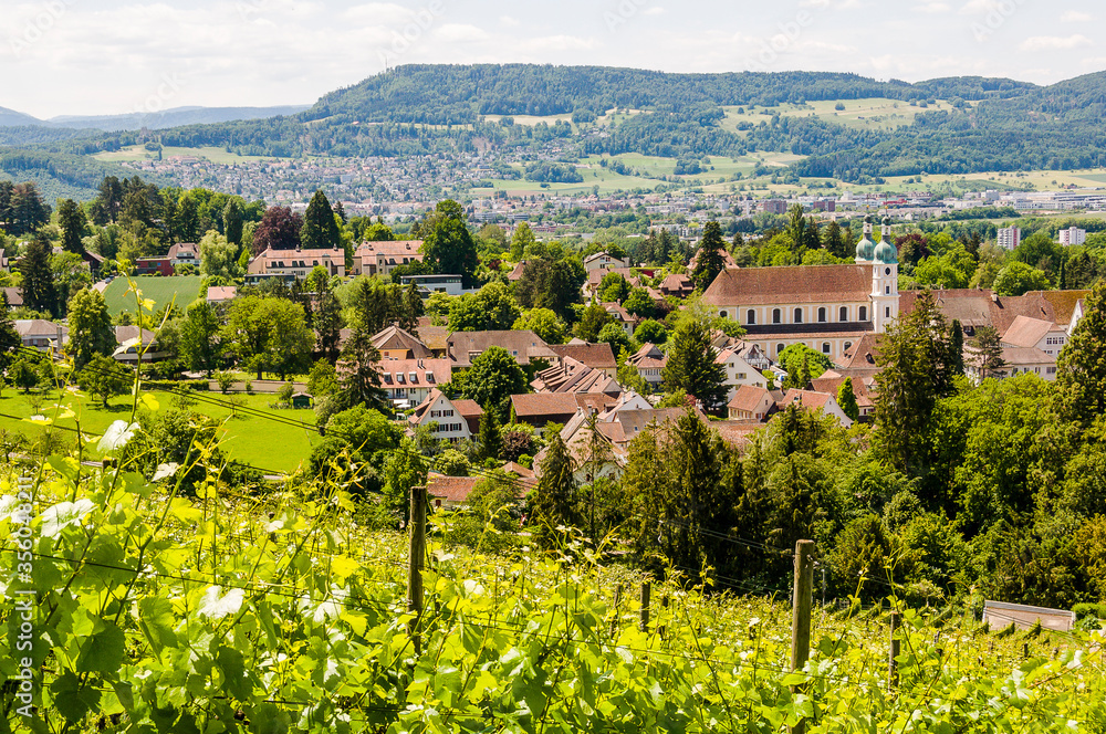 Arlesheim, Arlesheimer Dom, Dom, Domkirche, Weinberg, Weinrebe ...
