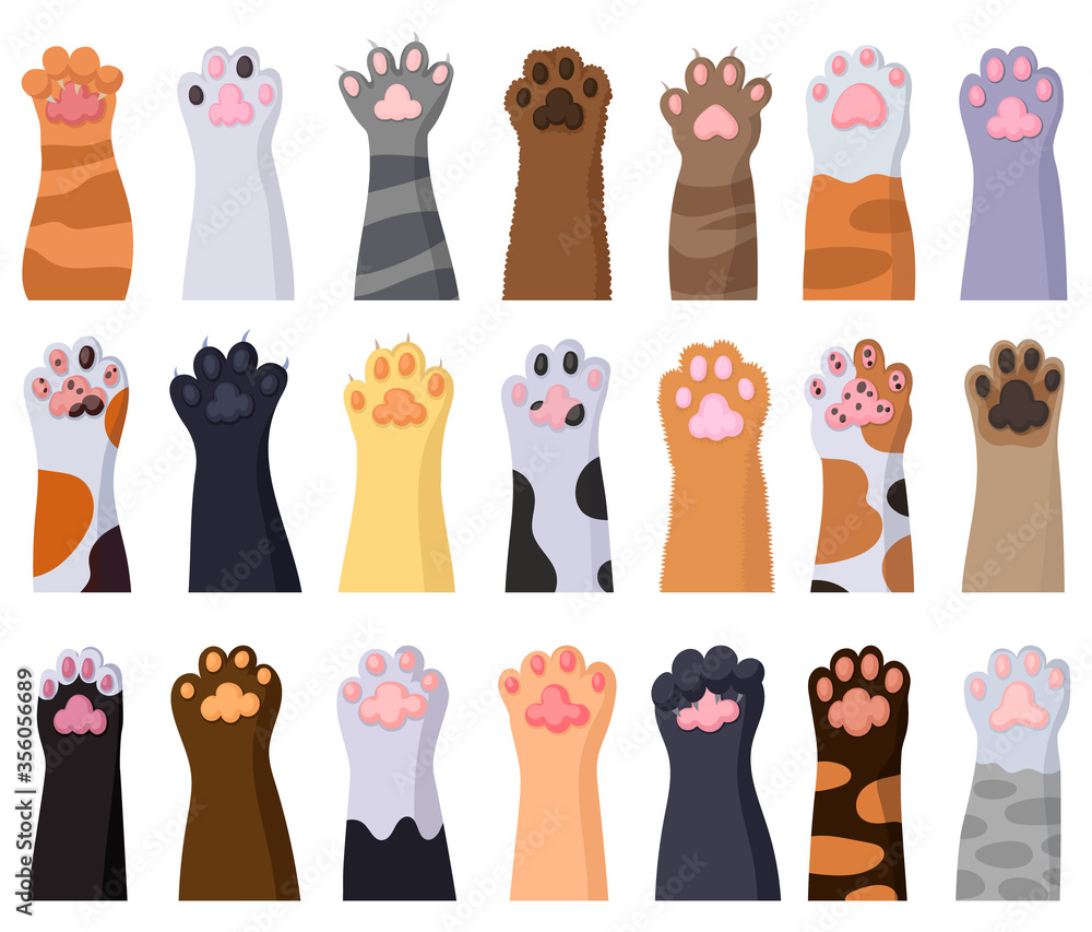 Cat paw vector illustration on white background. Isolated cartoon set ...