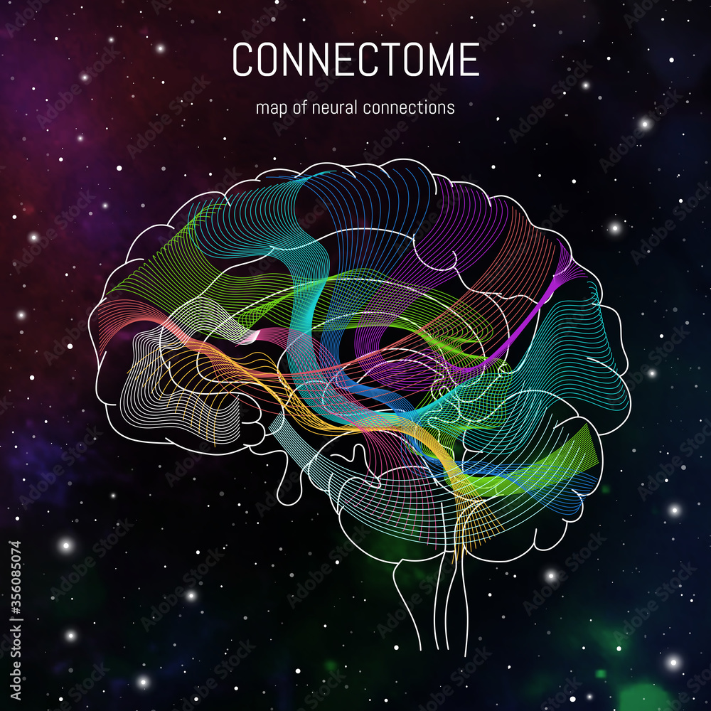 Neuroscience Brain Map