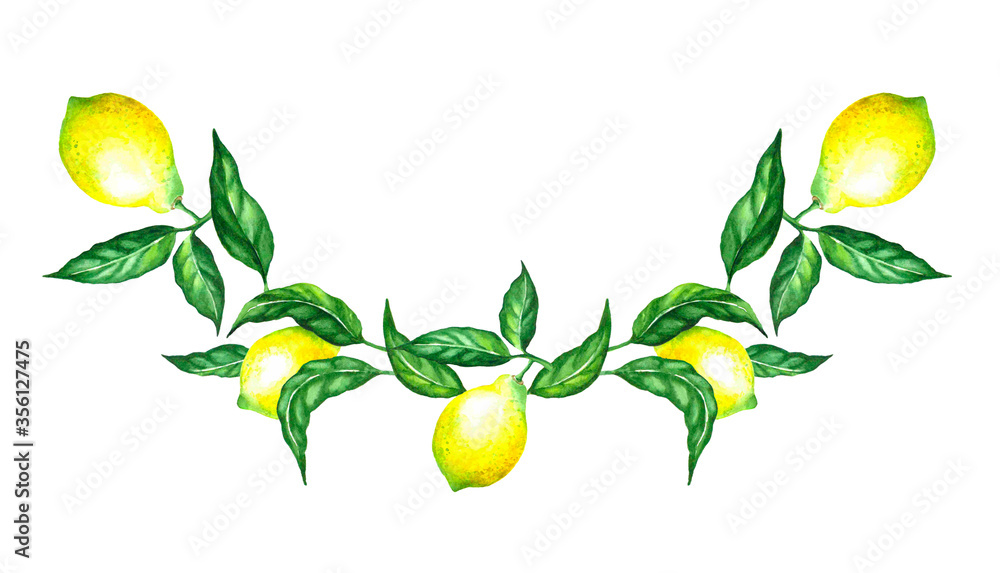 Frame of lemons and leaves isolated on a white background. Watercolor ...