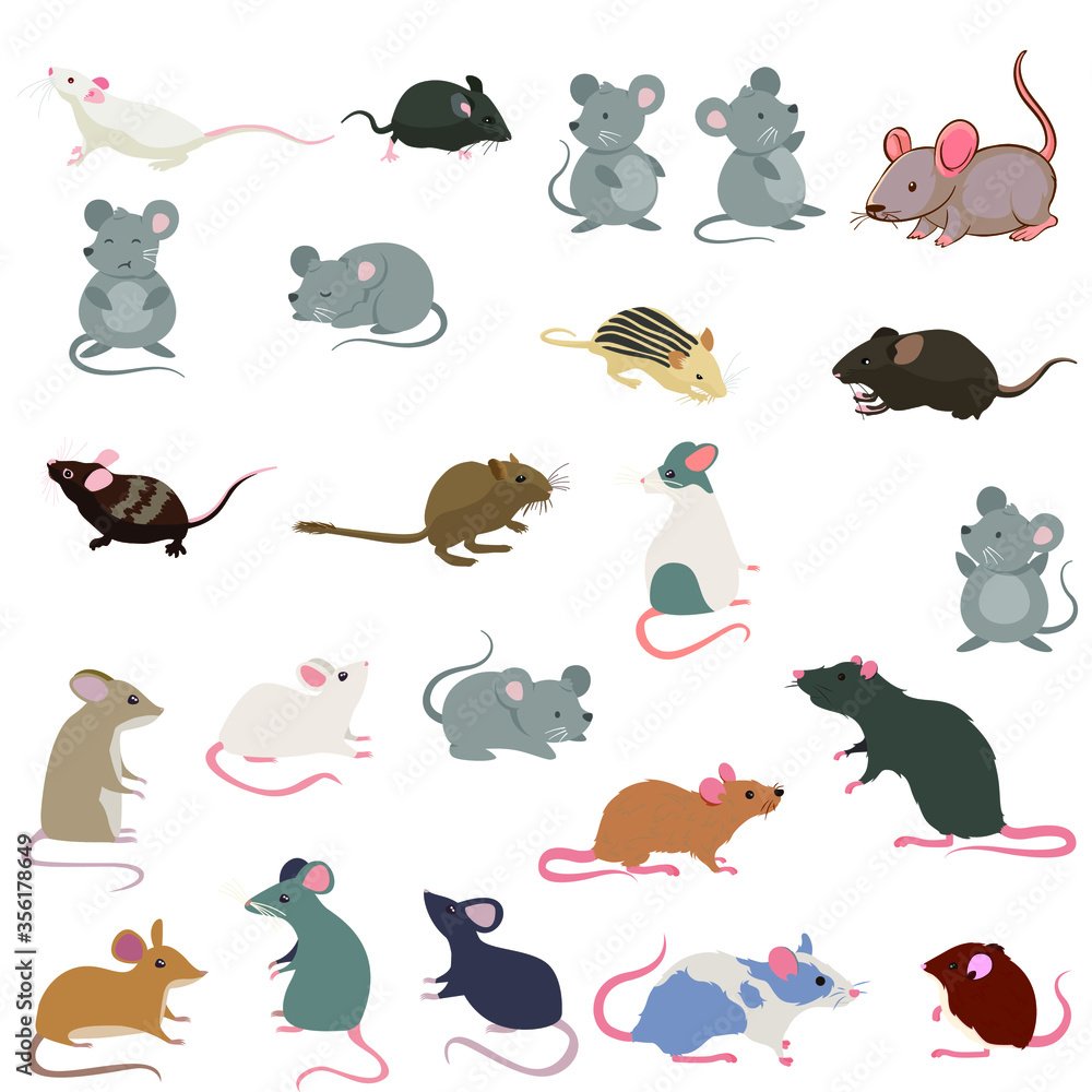 Rat breeds icon set flat style isolated on white. Pet rodents ...