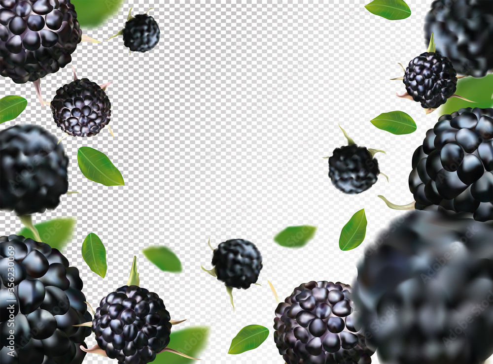 Black raspberry background. Flying black raspberry with green leaf on ...