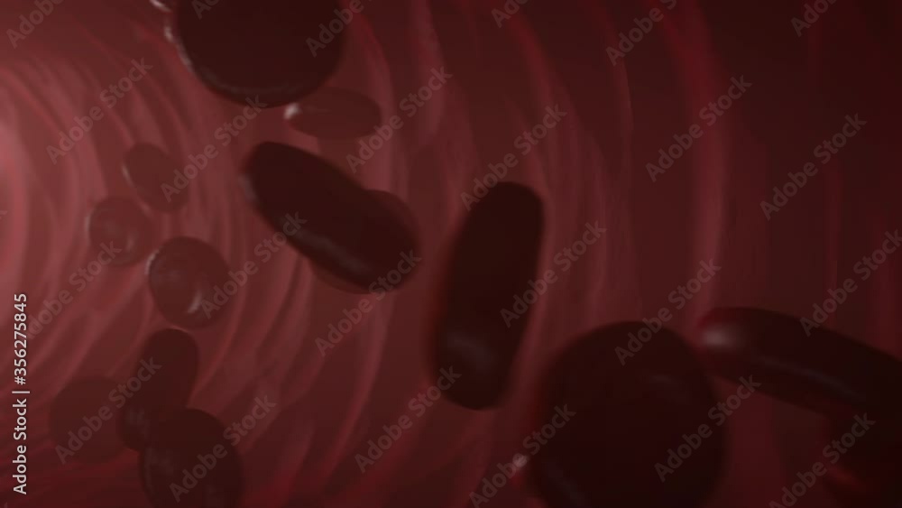 Stylized realistic 3D animation of the Red blood cells flowing inside ...