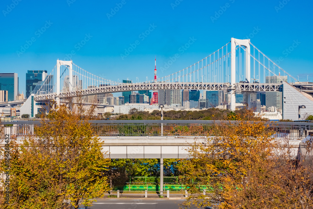 Japan. Tokyo bridges. Rainbow bridge on the background of Odaiba island ...