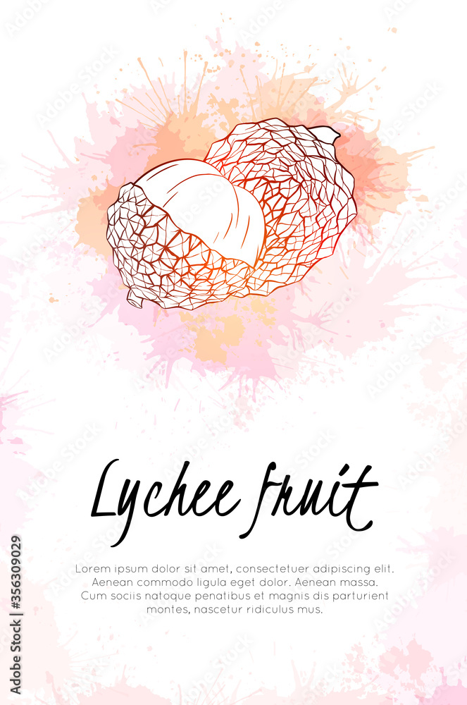 Vertical banner with lychee tropical fruit illustration with pink and ...