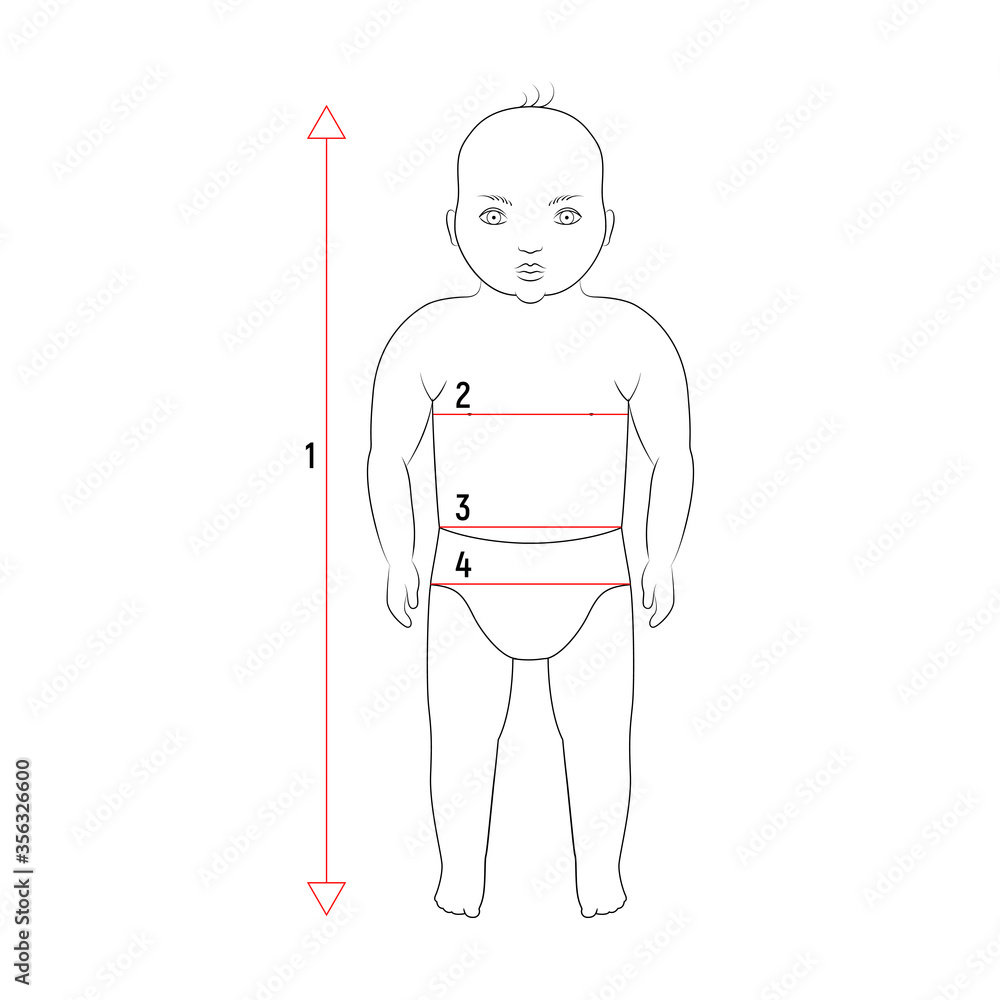 Baby body measurements for tailoring and sewing. Stock Vector | Adobe Stock