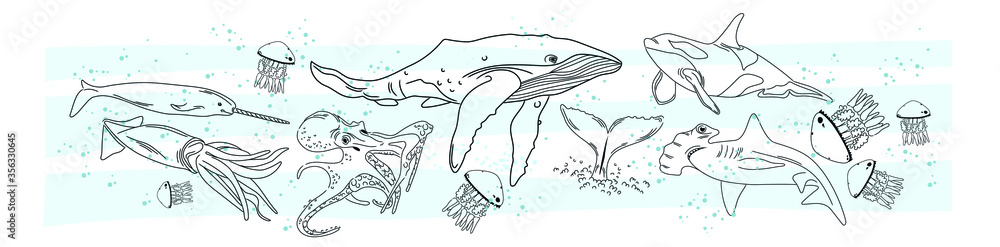 Vector flat illustration of sea animals. Doodles. Sketch. Black outline ...