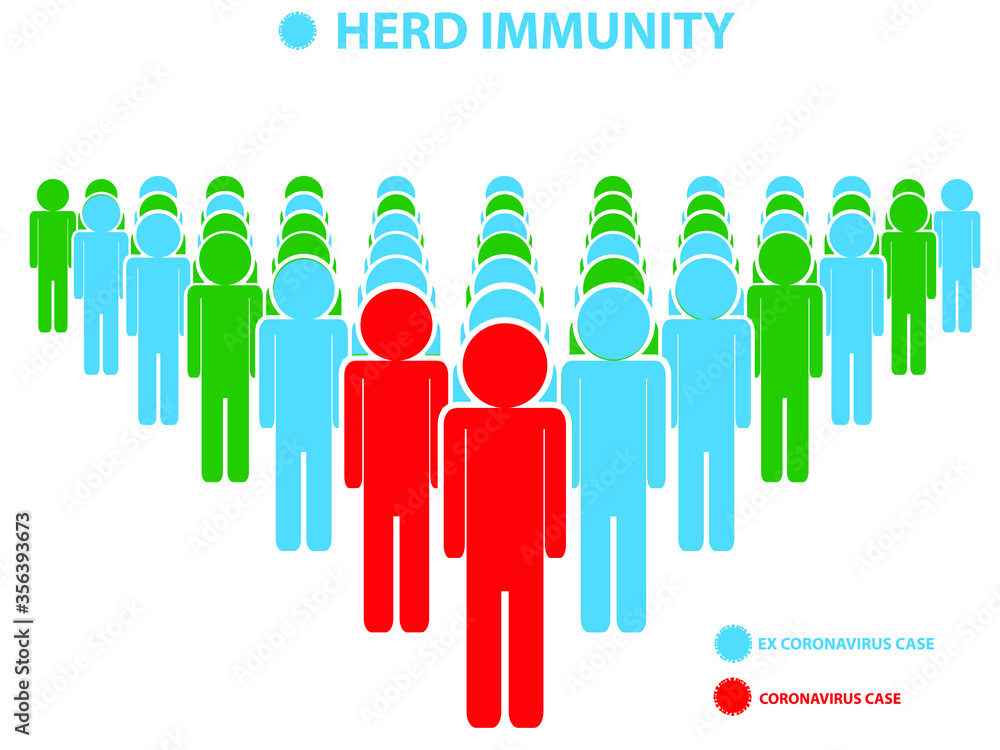 Herd immunity infographic. Vector illustration Stock Vector | Adobe Stock