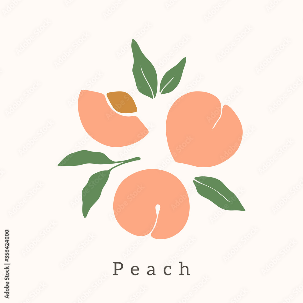 Stylish Peach vector design. Contemporary art print. Abstract hand ...