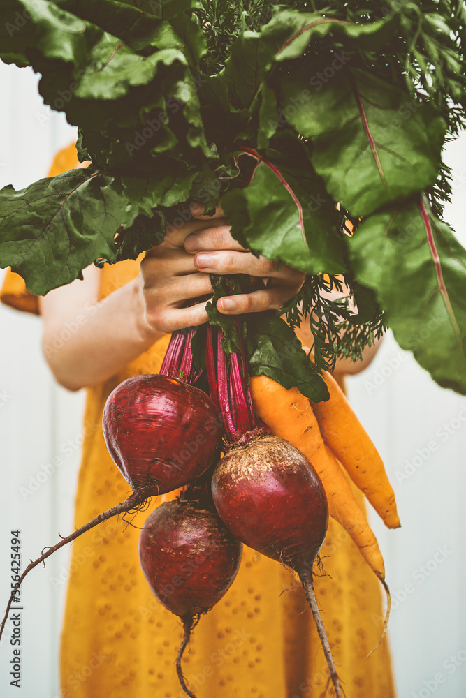 Healthy eating food vegan lifestyle hands giving organic vegetables ...