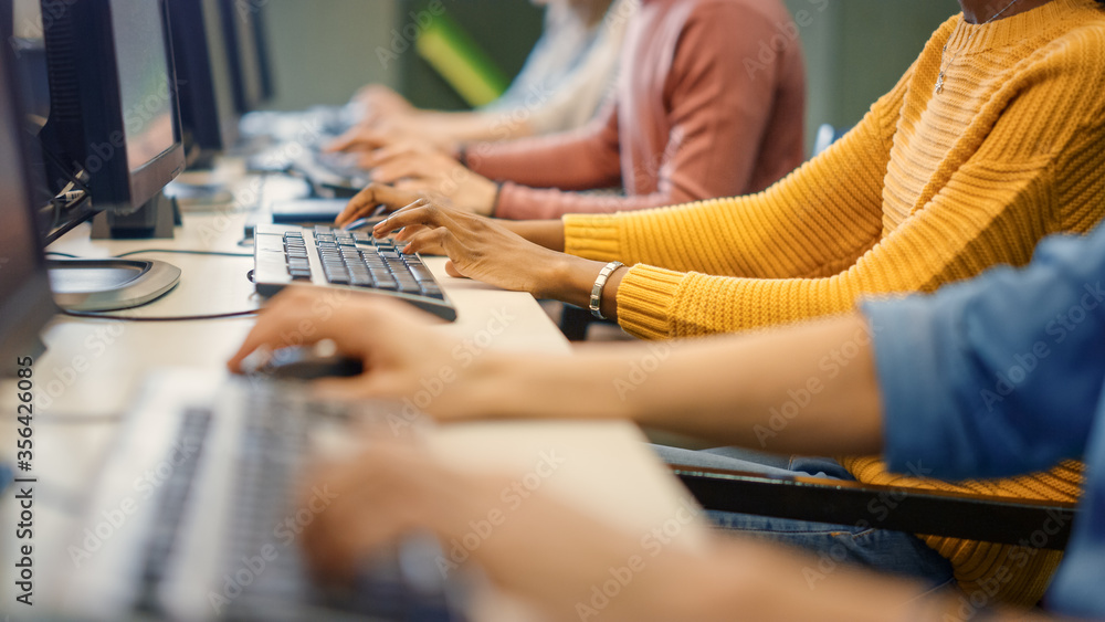 Row of Diverse Group of Multi-Ethnic People Works on PC. Office Team of ...