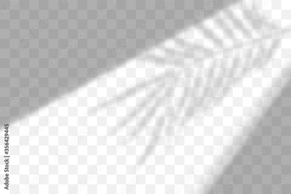 Vector transparent natural plant shadow. Light effect overlay. Mesh ...