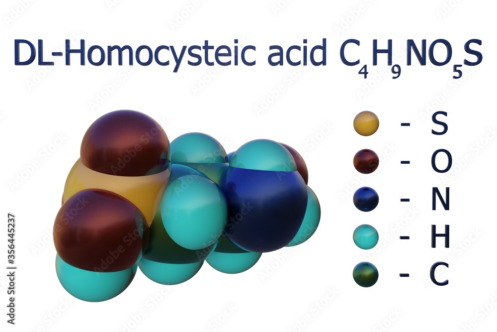 Structural chemical formula and molecular model of DL-homocysteic acid ...
