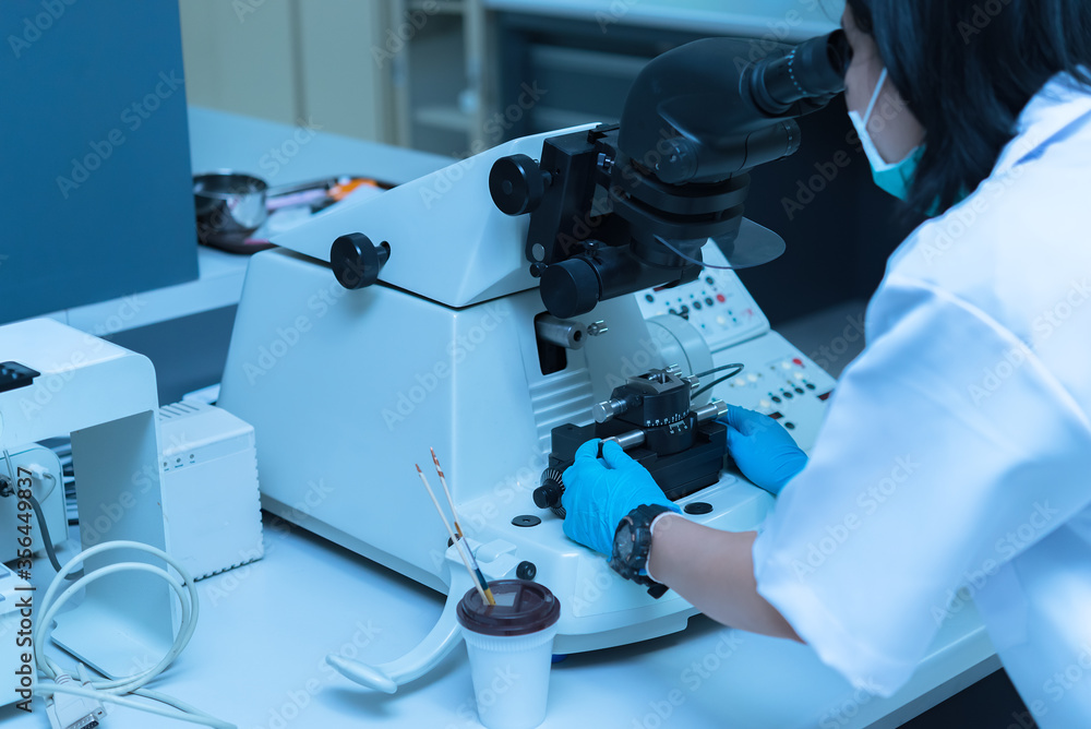 Asian Scientists are using a microscope to view the structure of a ...