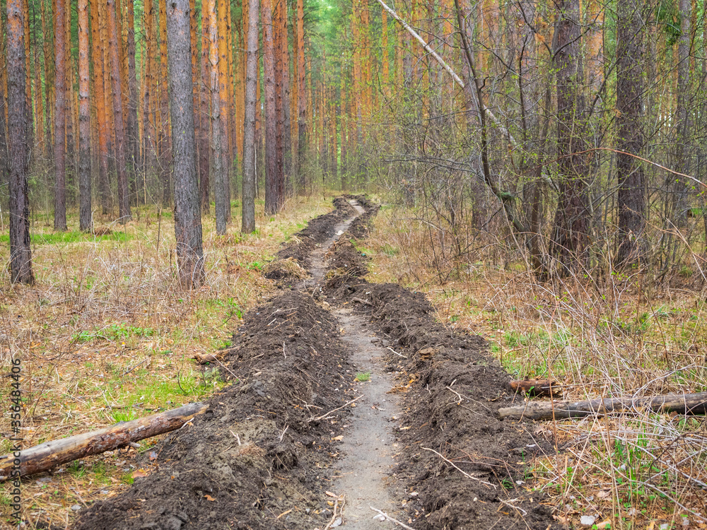 Firefighters dug a ditch to prevent fires. Prevention of forest fires ...