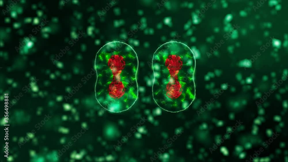 Wideo Stock: Abstract 3d model of coronavirus 2019-nCoV pathogen cells ...