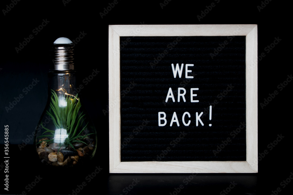 we are back! phrase with white letters enclosed in a wooden frame next ...