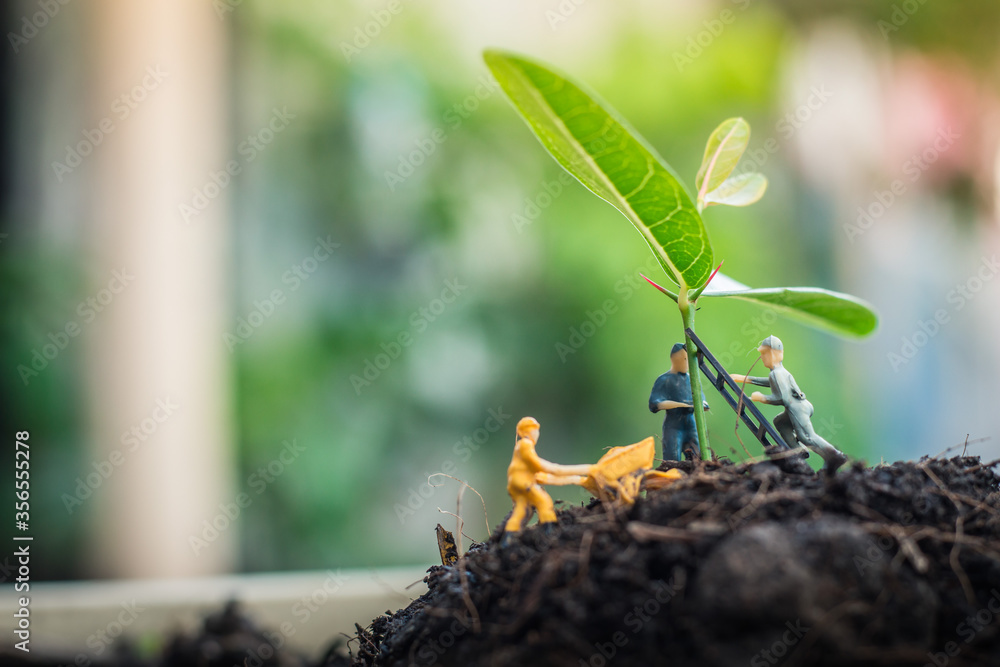 Miniature people team works to inspect and plant trees for a green ...