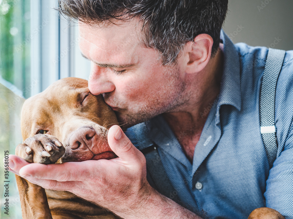 Handsome man hugging a charming puppy. Close-up, indoors. Studio photo ...