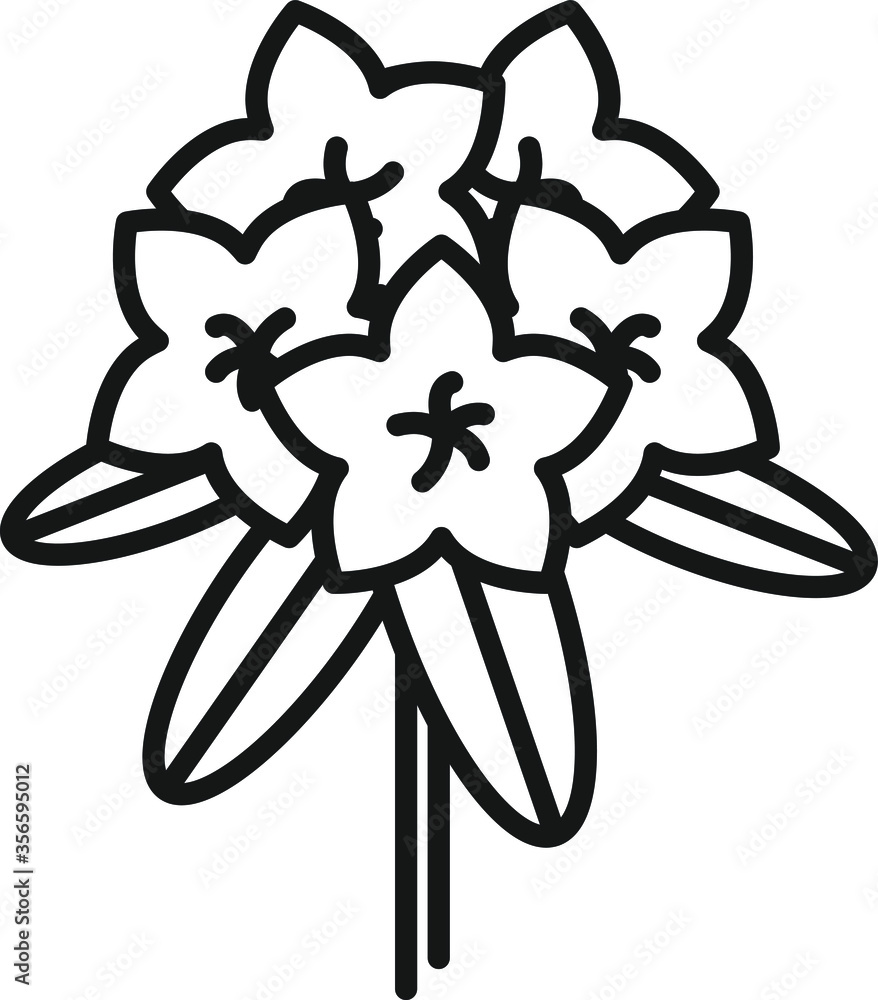 Rhododendron Drawing