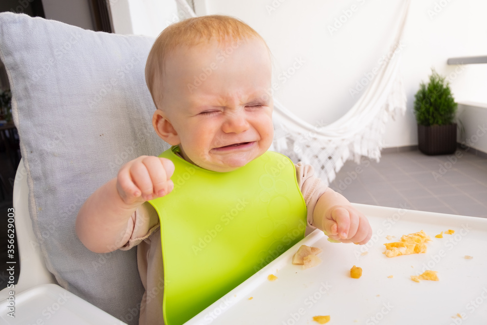 Annoyed hungry baby wearing plastic bib, sitting in highchair with food messy on tray and crying ...
