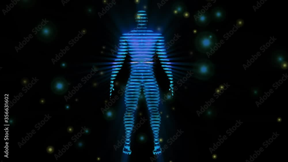 Wireframe 3d man rendered as contour slices . Cross sectional sliced ...