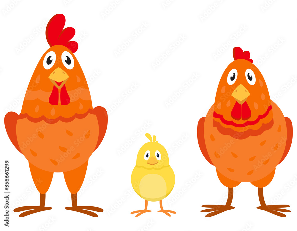 Chicken family front view. Farm birds of different sex and age. Stock ...