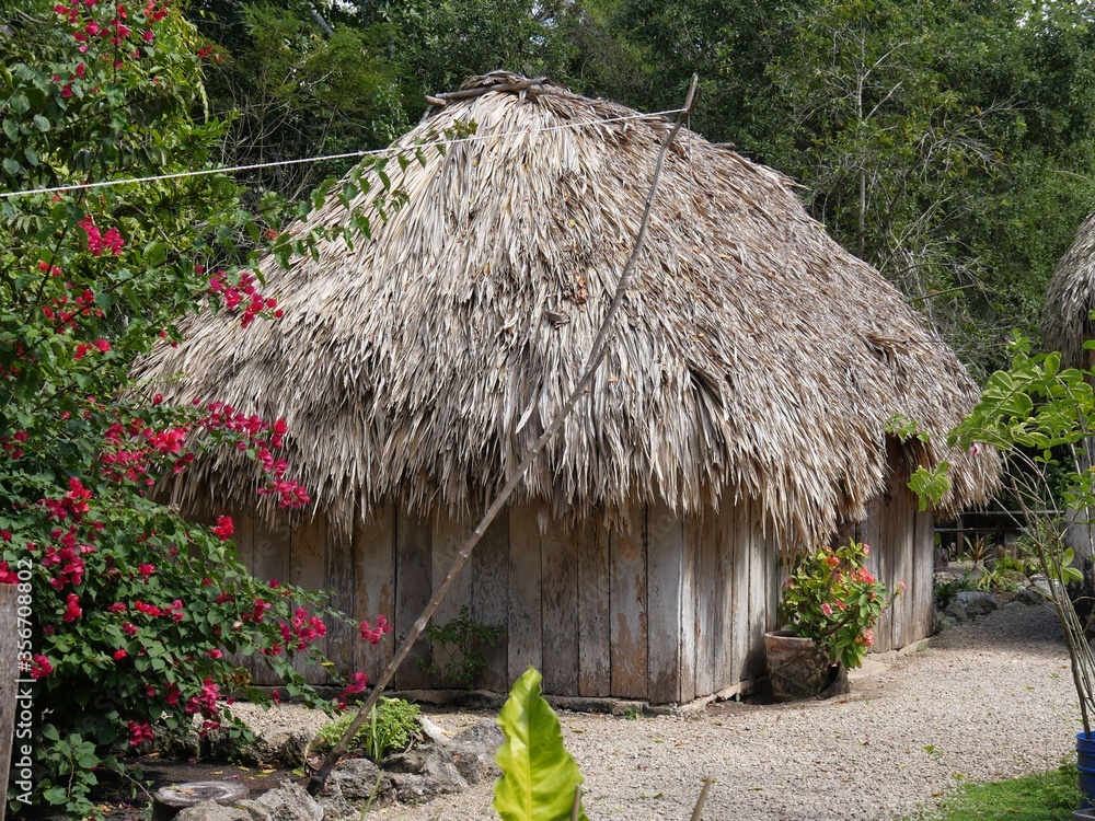 Side view of a traditional wooden and thatch-roofed huts in a village ...