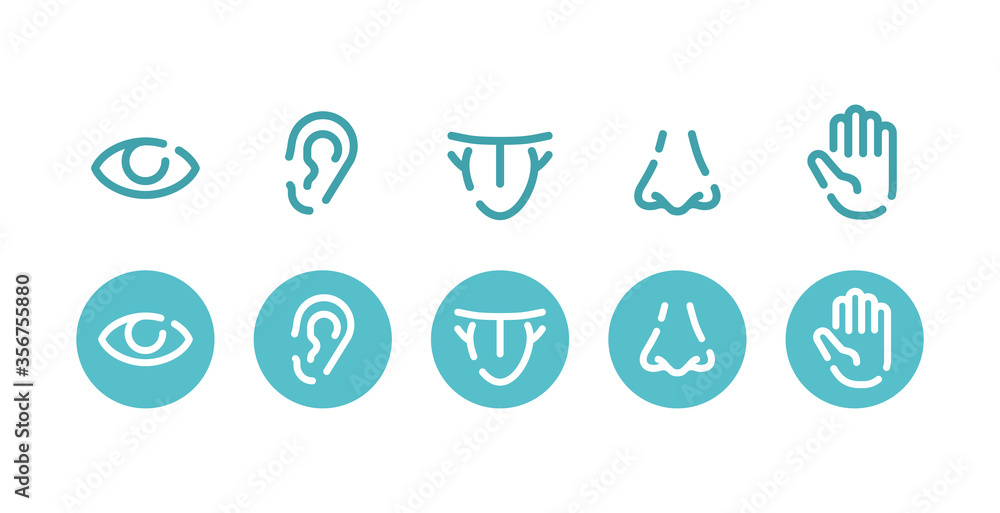 Five basic human senses - touch, sight, hearing, smell and taste ...