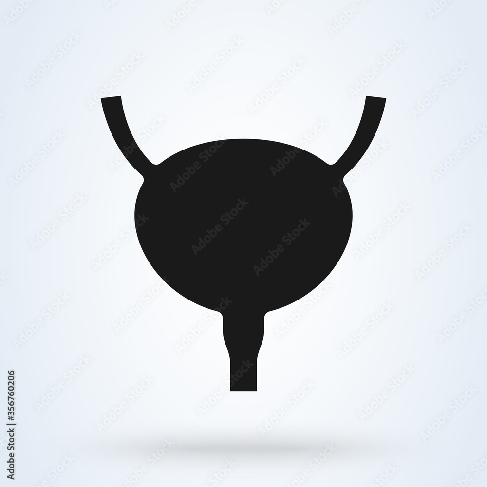 Human urinary bladder with ureters and urethra. Human organ ...