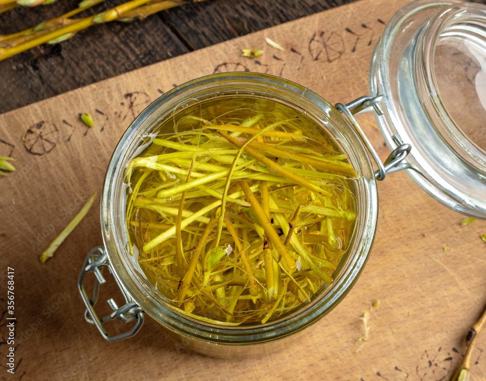 Preparation of herbal tincture from willow bark Stock Photo | Adobe Stock