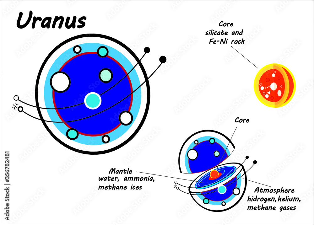 Uranus planet, representation of its structure and nucleus Stock Vector ...